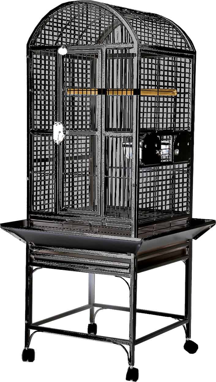 The 10 Best Bird Cages From Large To Small Parrots [2021]
