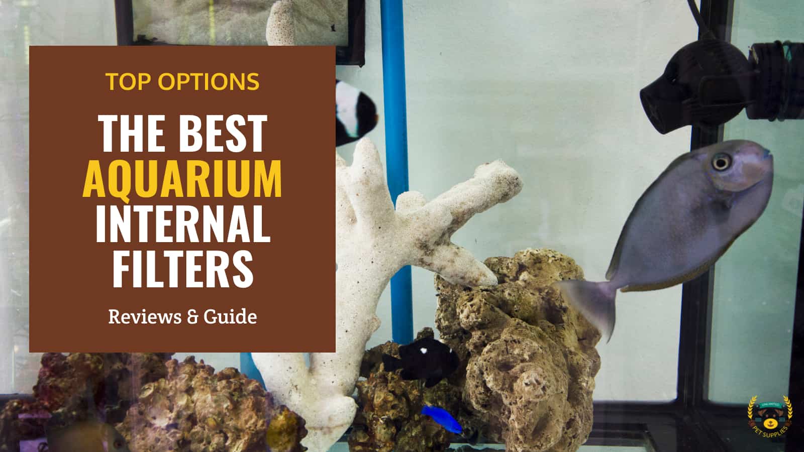 10 Best Aquarium Internal Filters | Reviews & Guide