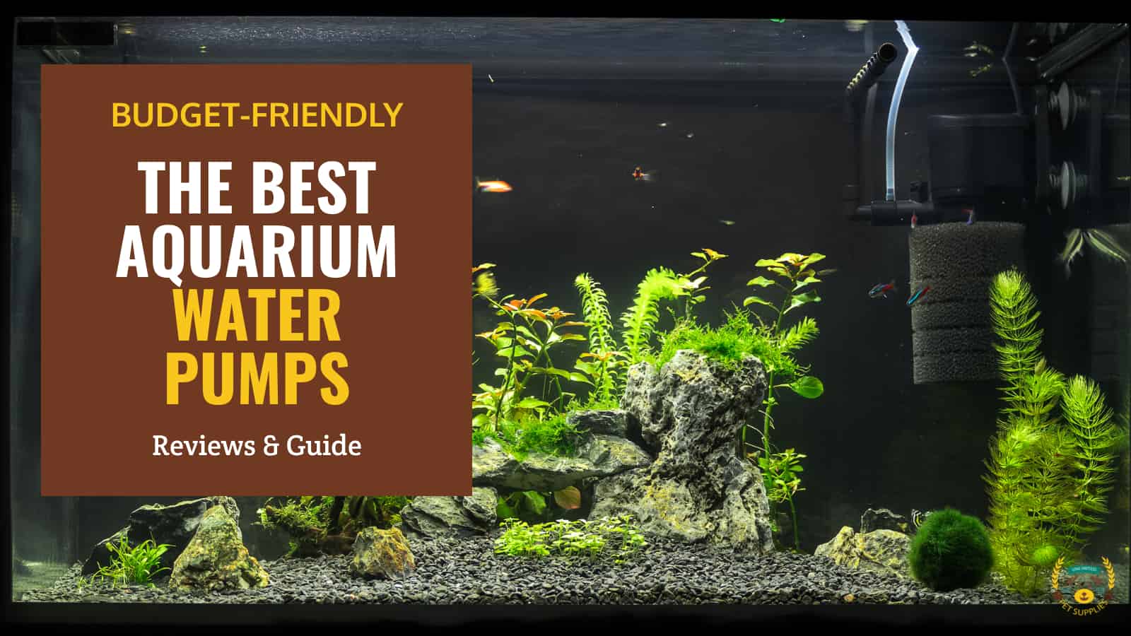 10 Best Aquarium Water Pumps | Reviews & Guide