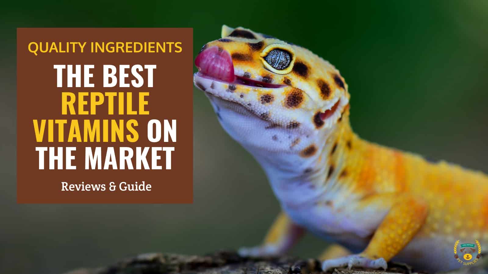 10 Best Reptile Vitamins | Reviews & Guide