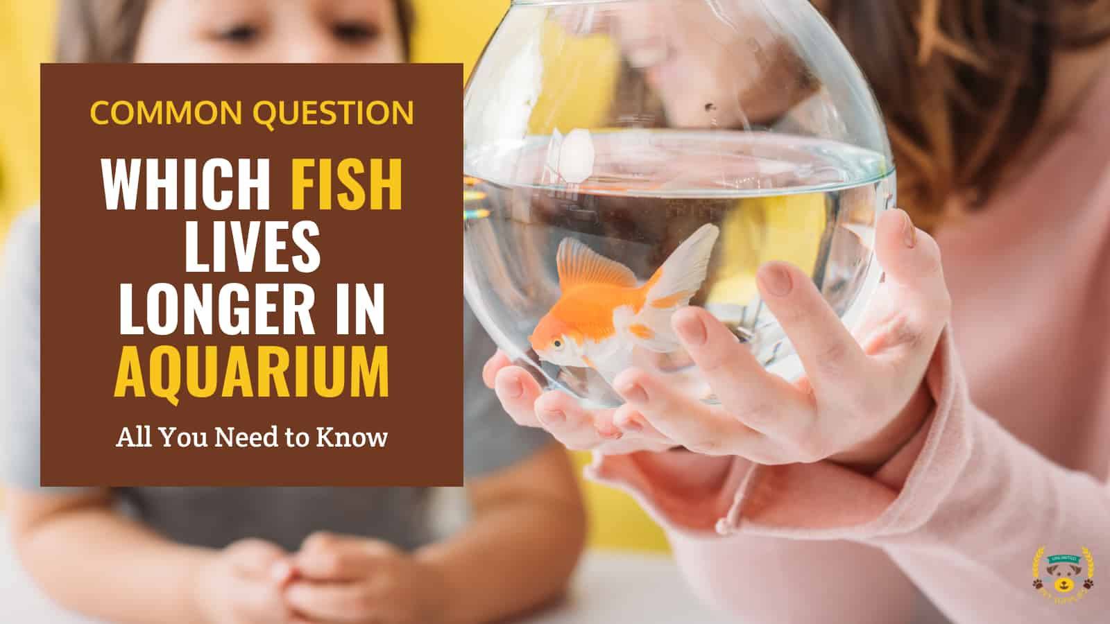 Which Fish Lives Longer in Aquarium?